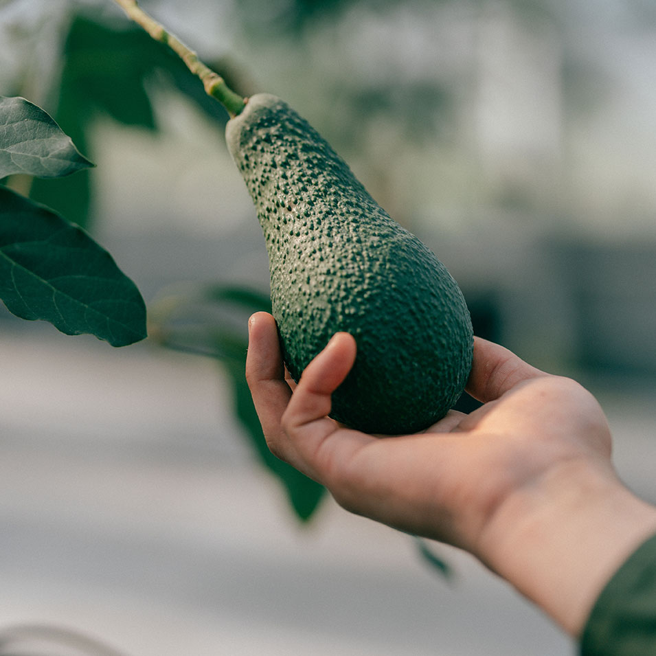 社会 | Mo:take MAGAZINE[モッテイクマガジン]