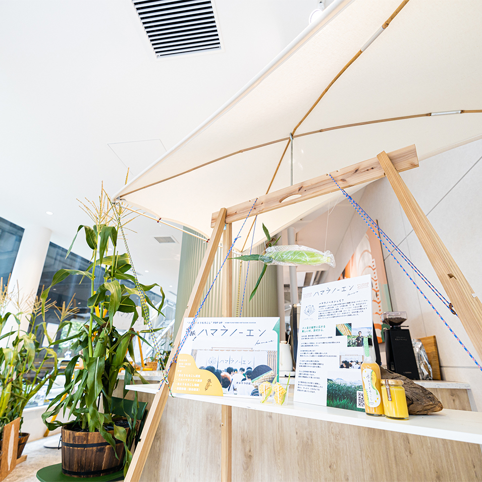 採れたて ️完熟に出会えるカフェイベント「南アルプス市“すももと桃のフェア”」 | Mo:take MAGAZINE[モッテイクマガジン]