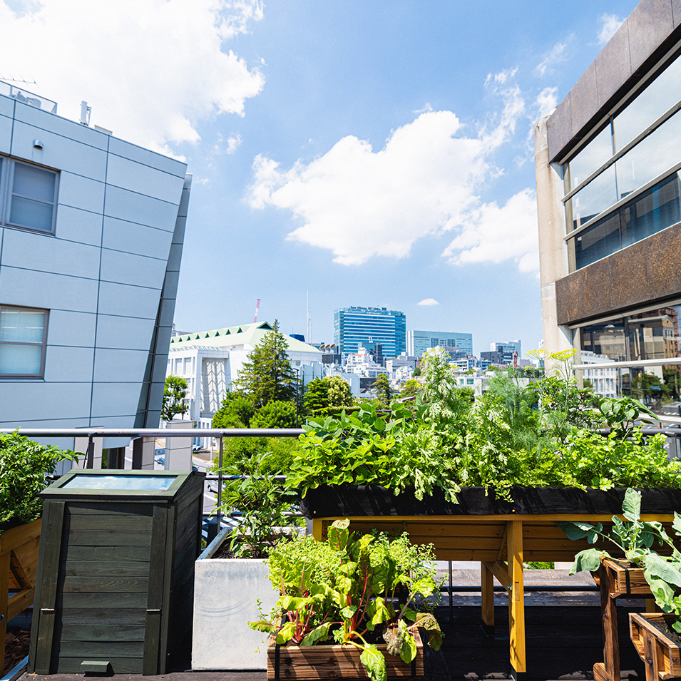 "育てる・食べる・土にする"代官山のバルコニーで小さな循環を可視化する。 | Mo:take MAGAZINE[モッテイクマガジン]